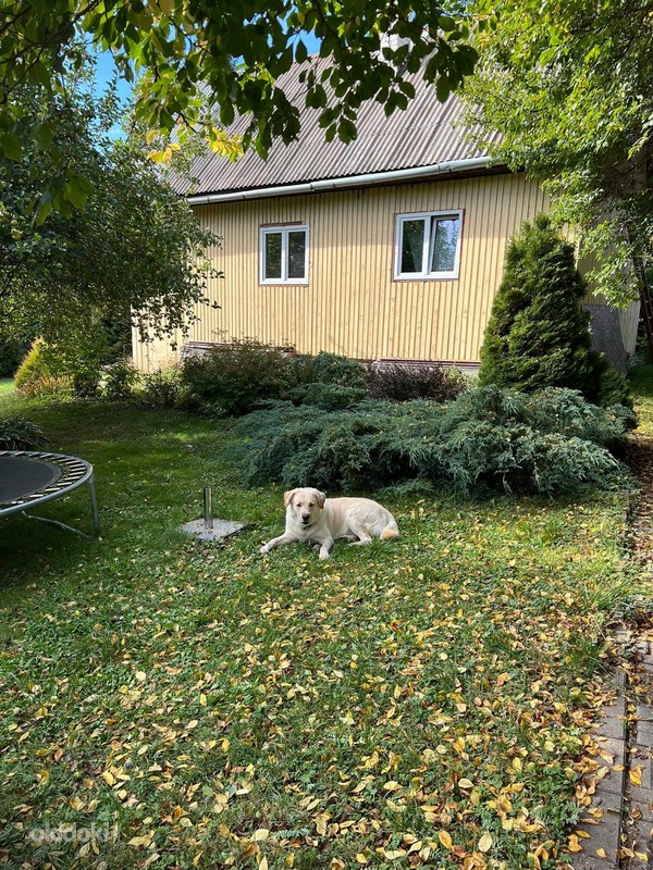 Дача в Viti küla, Harku vald - Viti, Harku vald, Harjumaa, Дома – okidoki