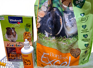 Müüa merisiga - Kohtla-Järve, Ida-Virumaa, Närilised – okidoki